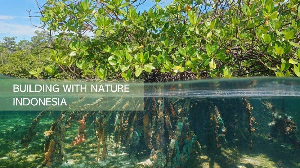 Building with Nature (BwN) Entry Points and Policy Review – The Water ... Building with Nature (BwN) Entry Points and Policy Review – The Water ...